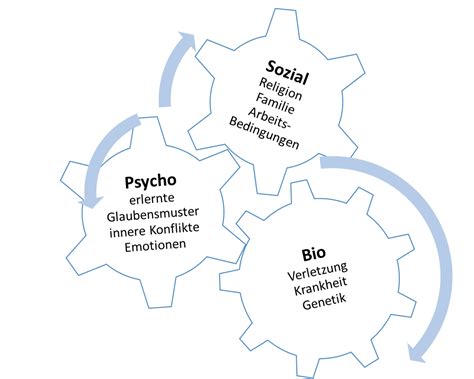 Ber Mich Praxis Pinus Rahel Aeschbacher