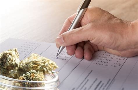 Geteilte Meinungen Zur Cannabis Legalisierung In Deutschland