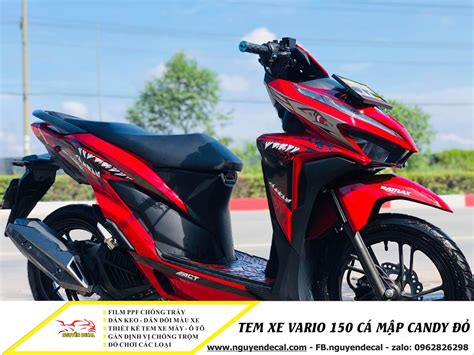 Tem xe vario 150 cá mập đen đỏ Nguyễn Decal Chuyên Dán Keo Xe