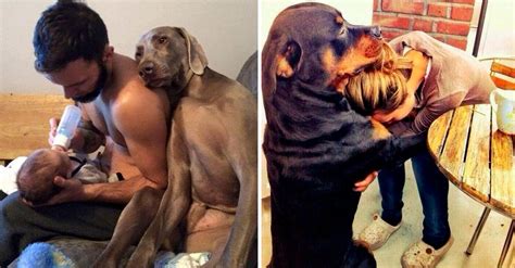 21 imágenes demuestran que el ingenio humano es ilimitado