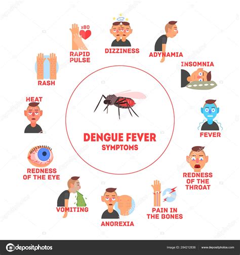 Dengue Fieber Symptome Informationen Banner Vorlage Vektor Illustration