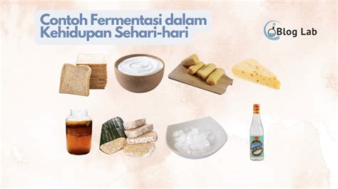 10 Contoh Fermentasi Dalam Kehidupan Sehari Hari