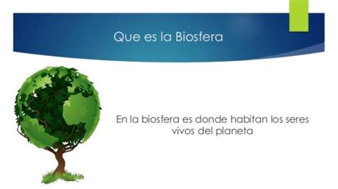 Qu Es La Biosfera Caracter Sticas Tipos Y Ejemplos Off