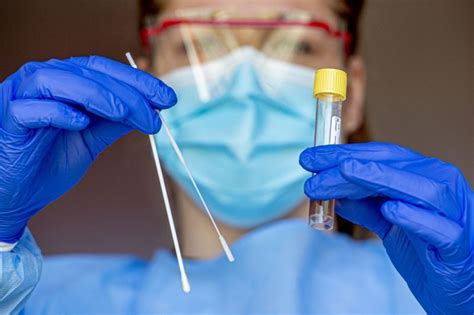 El Protocolo De Una Prueba Pcr De Las Que Ya Se Hacen En Zamora As Se