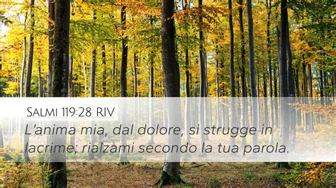 Salmi 119 28 RIV Desktop Wallpaper Lanima Mia Dal Dolore Si