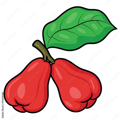 Rose Apple Cartoon Illustration Of Cute Cartoon Rose Apple Stock