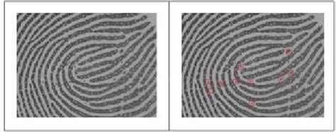 figure 1 from deep convolutional neural network for dot and incipient ridge detection in high