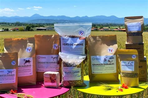 Invers Des Insectes Pour Nourrir Les Animaux