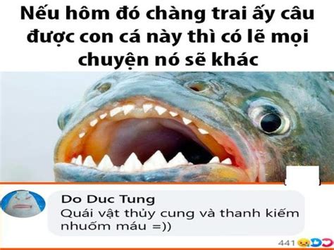T Ng H P C U Chuy N Ng I P V Qu I V T Cho Nh Ng Ai Y U Th Ch