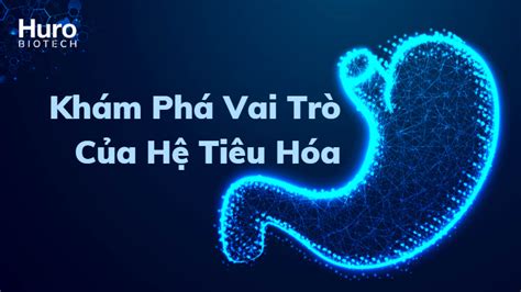 Khám phá vai trò của hệ tiêu hóa