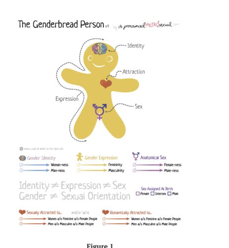 reproductive rights sexual orientation gender identity and gender expression flashcards quizlet