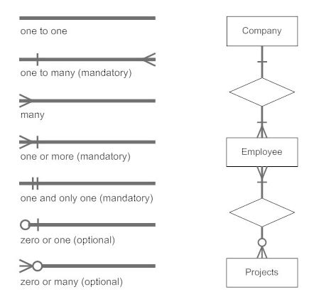 DBMS Notation For ER Diagram Javatpoint