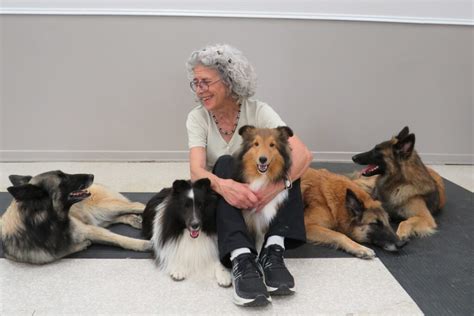 Les Bienfaits Des Animaux De Compagnie Le Journal L Horizon