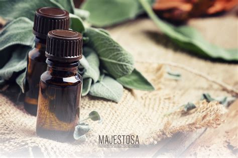 Fitoterapia O que é origem benefícios e muito mais Blog Majestosa