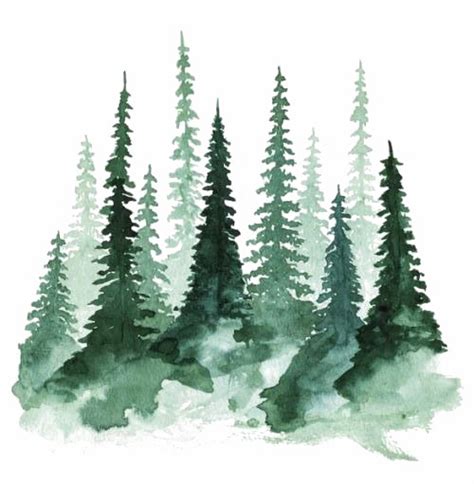Forest Png Transparent Hd Photo Png All
