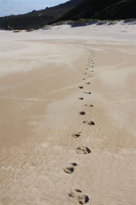 Free Images Beach Sea Coast Sand Walking Trail Dune Shore