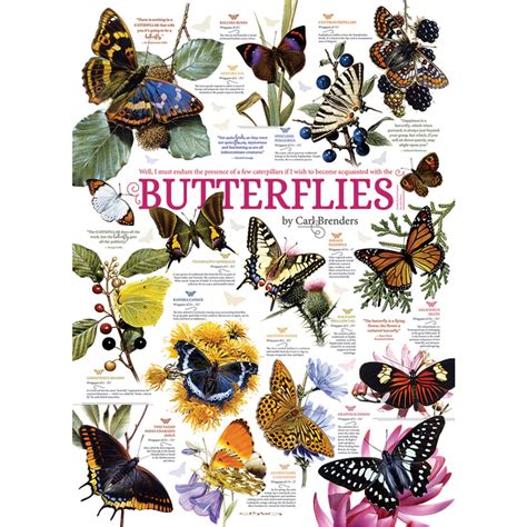 Butterfly Collection 1000 Piece Jigsaw Puzzle Spilsbury