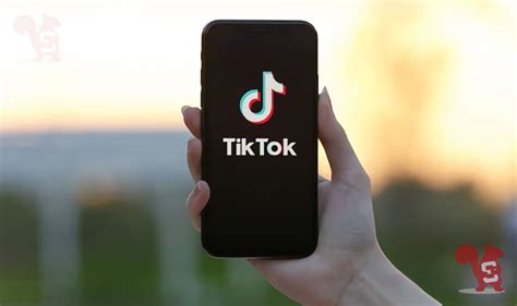 Come Vedere Chi Visualizza Il Tuo Profilo TikTok Scubidu Eu