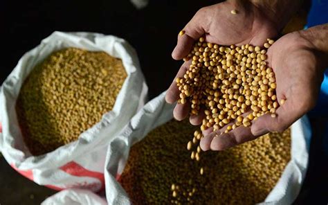 Bisnis Indonesia Harga Naik Terus Pengusaha Menyetop Impor Kedelai