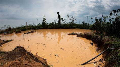 Deforestación ambiental y criminalidad siguen en aumento a causa de la