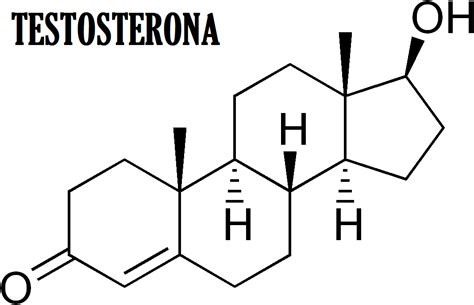 Como Incrementar Tu Testosterona Naturalmente El Hombre Excelente