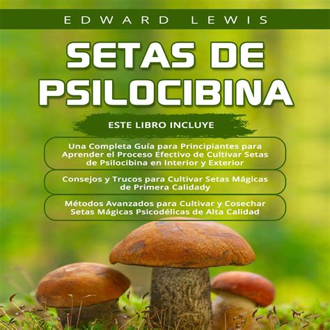 Buy Setas de Psilocibina 3 en 1 Psilocybin Arrows 3 on 1 Guía