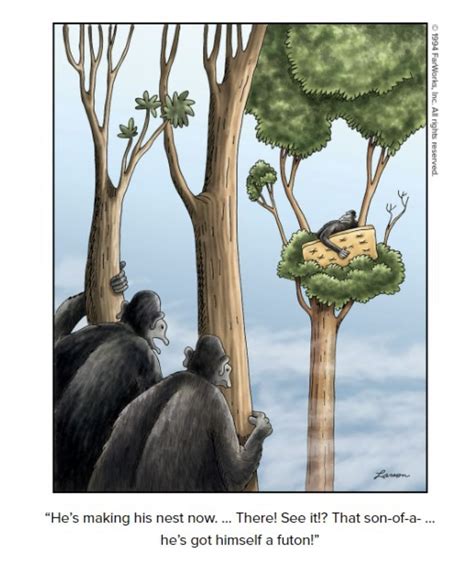 Far Side Cartoons Funny Cartoons Gary Larson Cartoons The Far Side