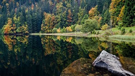 Amazing Beautiful Landscape Nature Lake Forest Wallpapers HD