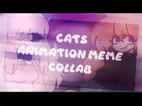 CATS ANIMATION MEME COLLAB YouTube
