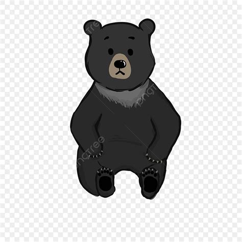 Oso Negro Sentado Png Black Bear Clipart Encantador Dibujos The Best