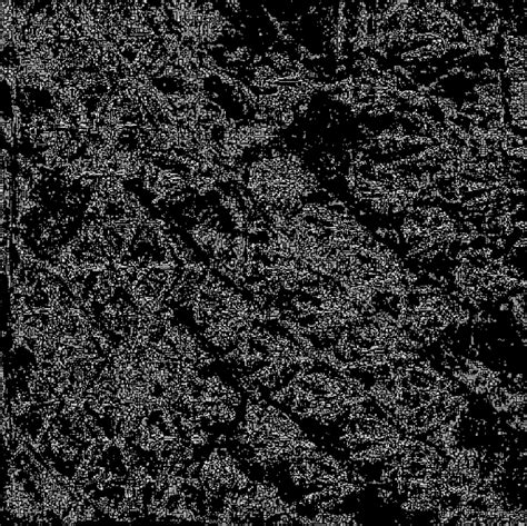 evolved transforms improve image compression