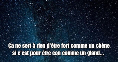 Ça ne sert à rien d être fort Blagues et les meilleures images