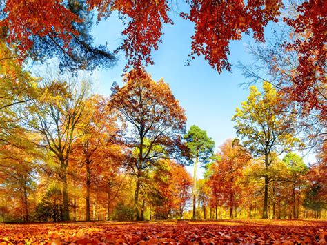 Cuándo empieza el otoño el 20 o el 21 de marzo