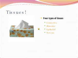 Casey Tissues Ppt