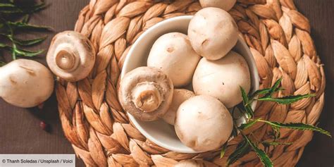 CUISSON Champignons De Paris Comment Les Cuire Pour Qu Ils Ne Rendent