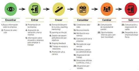 La Experiencia Del Empleado Tu Viaje Profesional Grupo Humannova