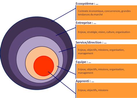 Analyse systémique de son environnement professionnel Séances AE02