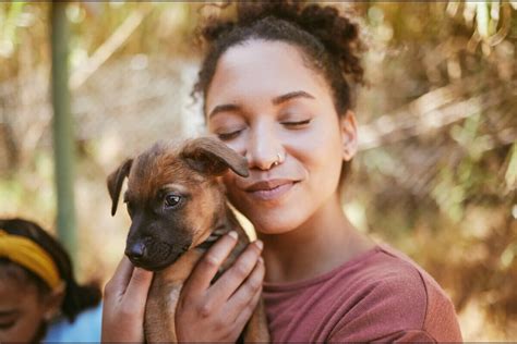 7 dicas para escolher entre gato e cachorro para adoção Portal EdiCase
