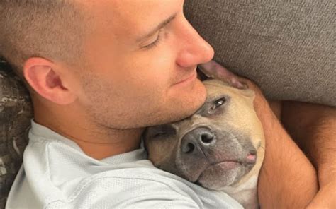 Pitbull adopter says no one tells you breed is so 教育视频 搜狐视频