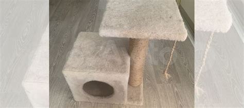 Кошачий домик с когтеточкой купить в Волгограде Животные и зоотовары