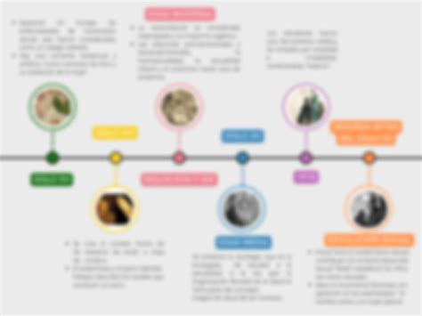 SOLUTION L Nea Del Tiempo De La Sexualidad Humana Studypool