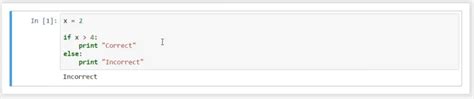 Learning How To Use Conditionals In Python Data Science