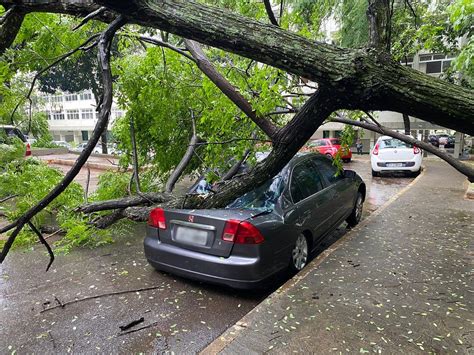 Rvore Cai Em Cima De Carro E Causa Preju Zo Na Asa Norte Em Bras Lia