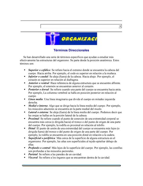 Posici N Anat Mica Y T Rminos Direccionales