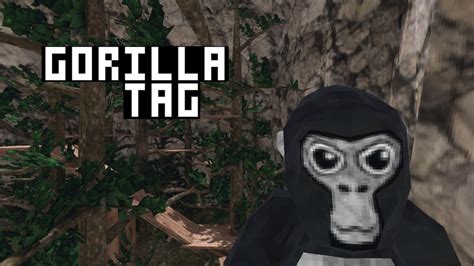 Gorilla Tag Erste Vr App Mit K Bewertungen Im Quest Store