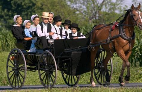 These Incredible Facts About Amish Culture Will Educate You In The Best
