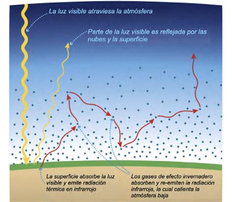 10 Este diagrama muestra cómo los gases de efecto invernadero en la