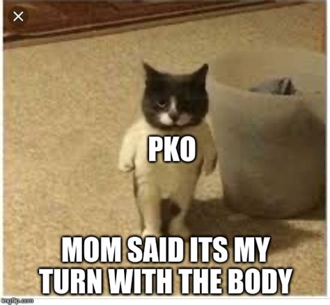 Image Tagged In Mom Said Its My Turn Imgflip
