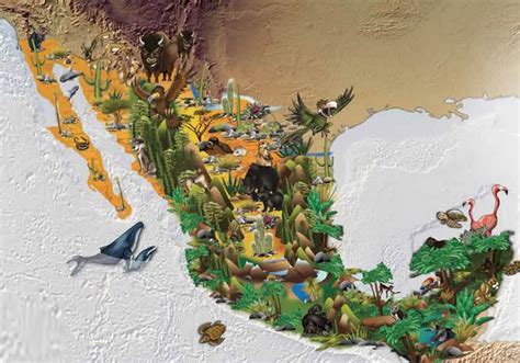 Por qué México es un Pais Megadiverso